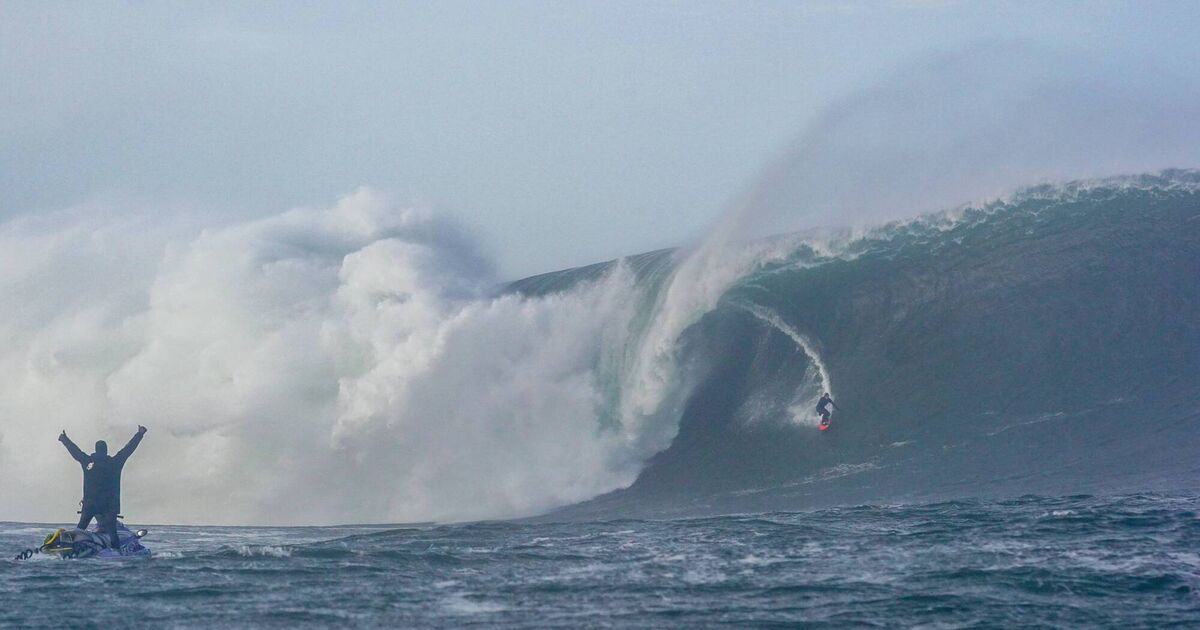 'It was huge, buttery, green and beautiful. I just had to stand there ...