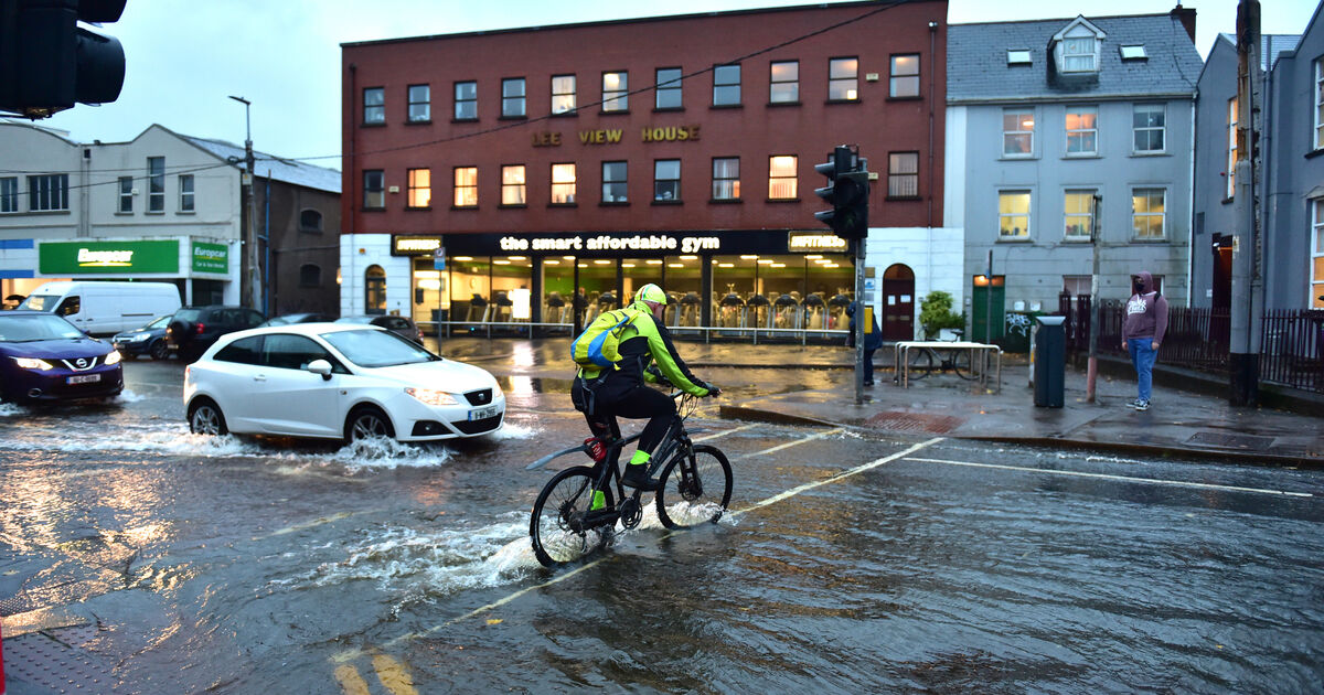 Save Cork City pleads with council to reject OPW flood defence plans
