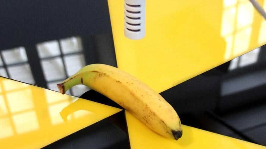 Crawford Art Gallery: When art and science collide for an exhibition of ...