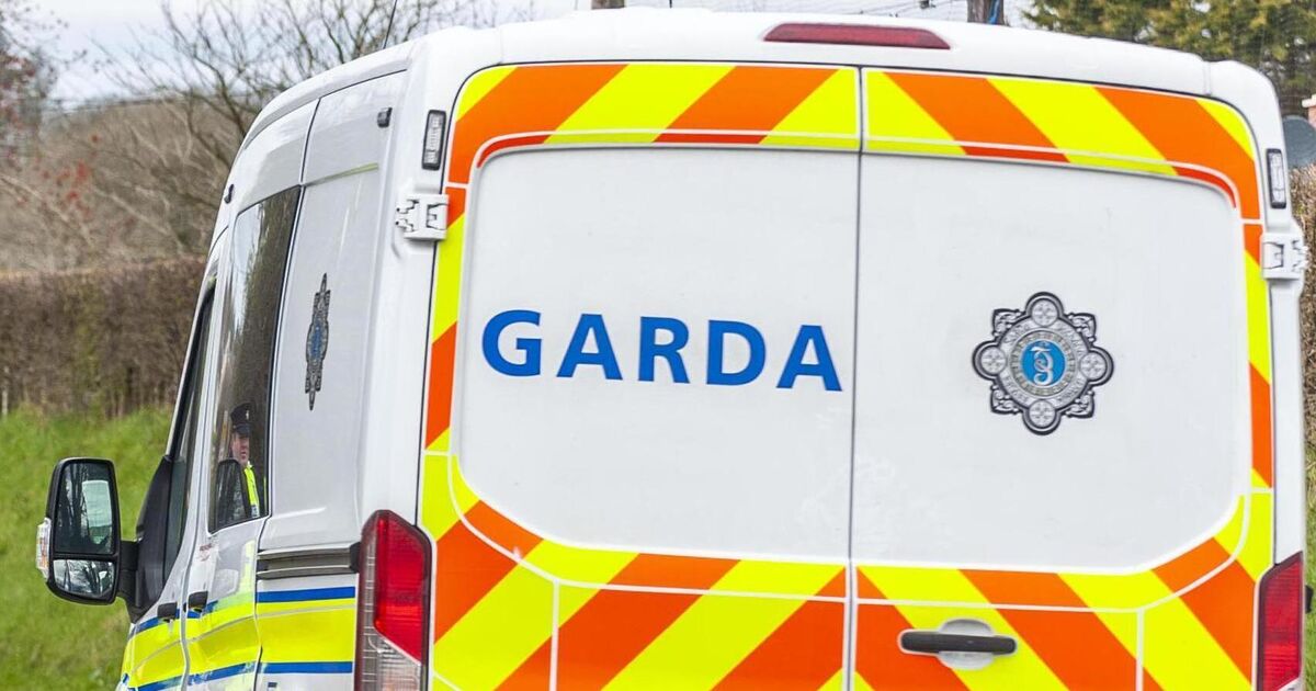 Man jailed over 'mindless, vicious' assault