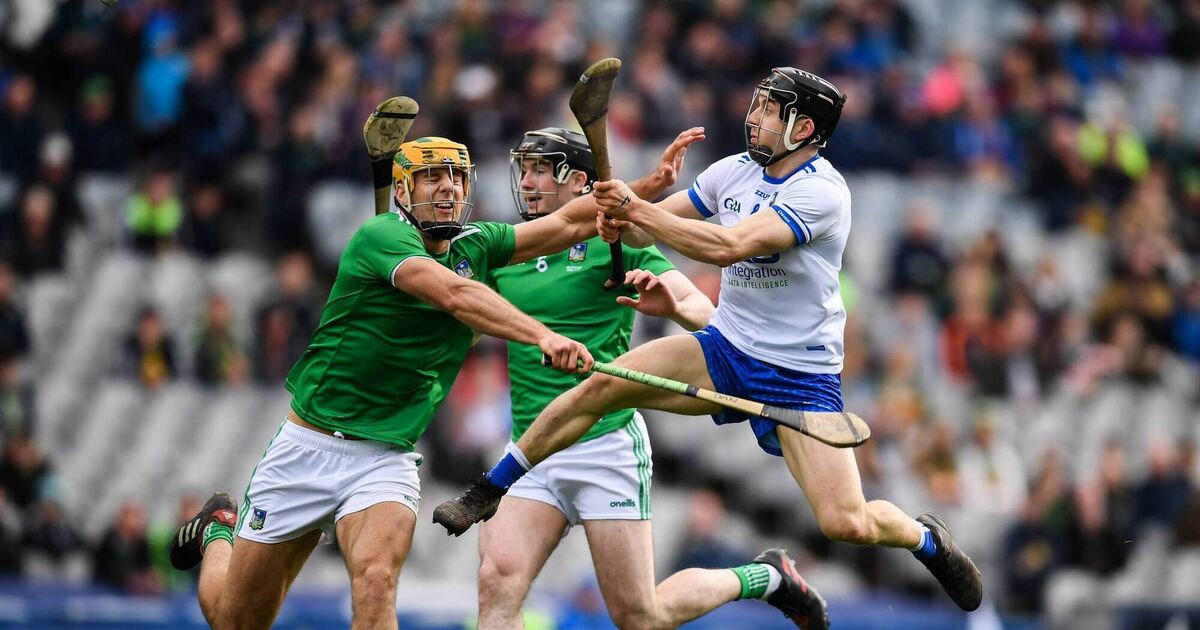Anthony Daly: Waterford won’t back down but Limerick’s physicality and ...