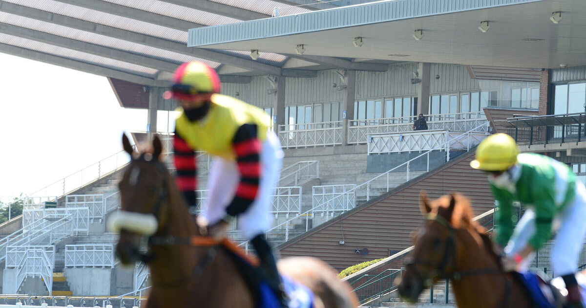 Ruby Walsh: Saint Roi looks up to the task