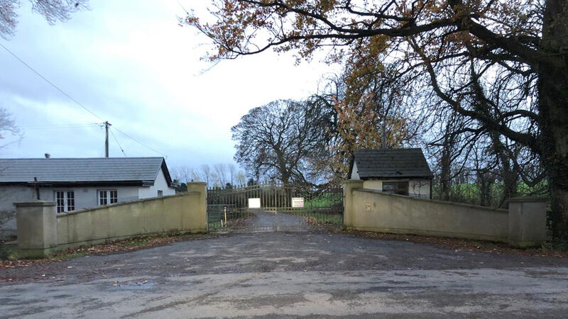 Animal welfare campaigners support cull of Irish mink herds