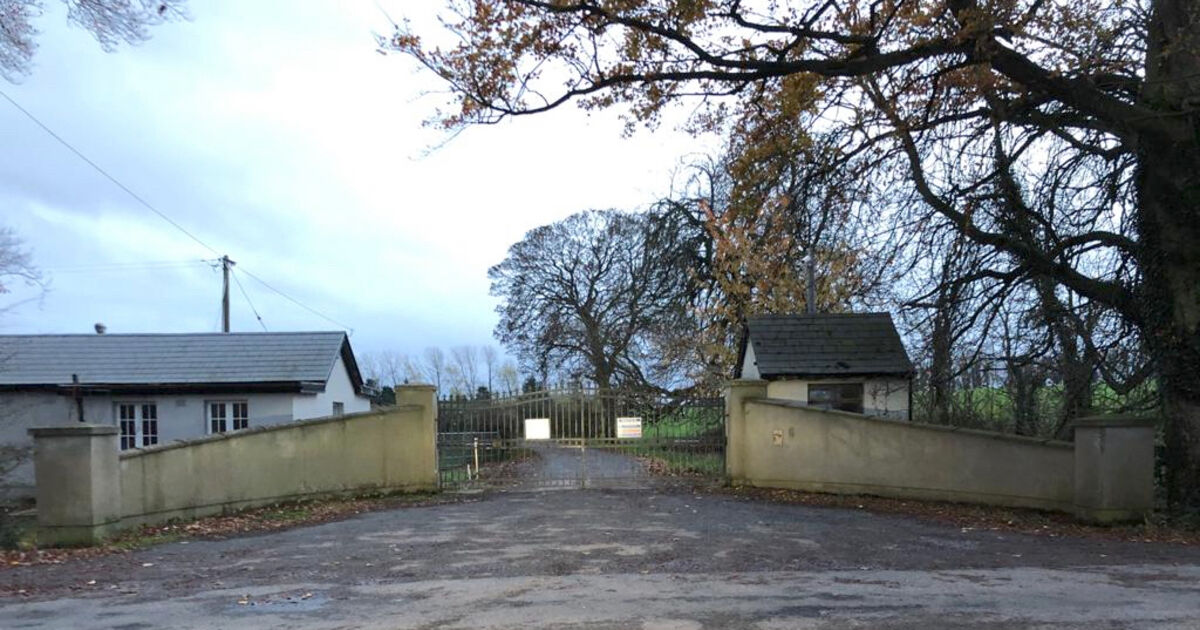 Animal welfare campaigners support cull of Irish mink herds