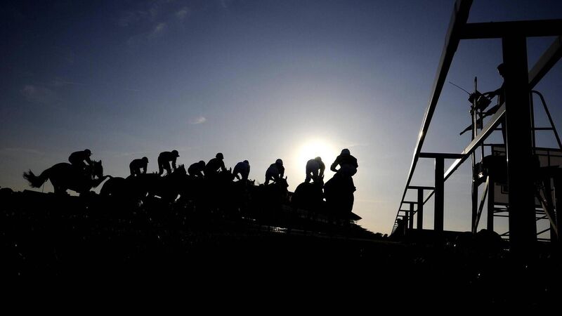 Horse Racing Ireland to increase minimum prize money and advance ...