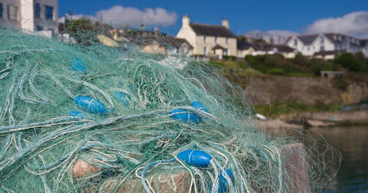 Irish Examiner view: Inshore fishing loophole should be suspended