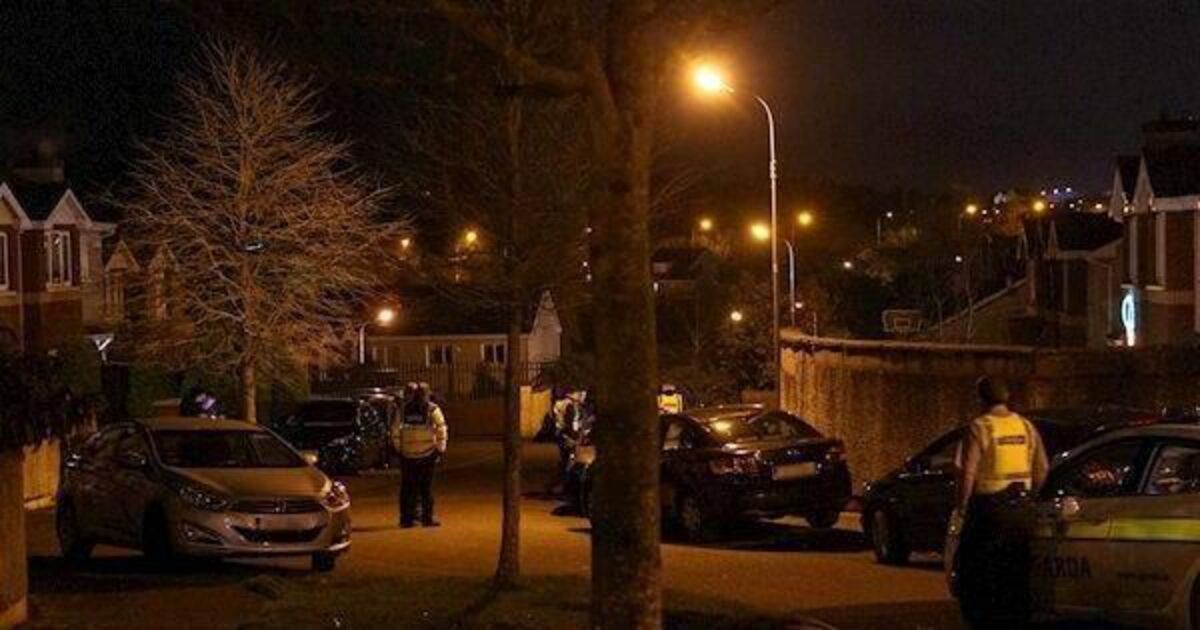 Gardaí appeal for information after lone gunman's attack in Cork City ...