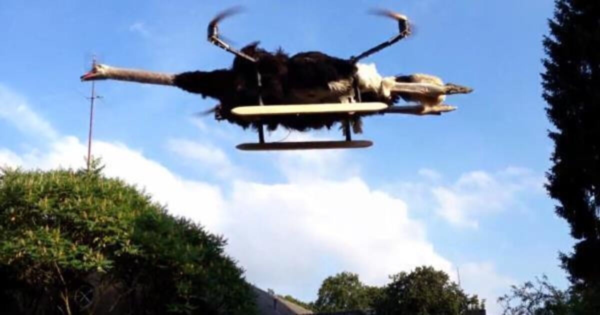 Artist turns dead ostrich into a helicopter