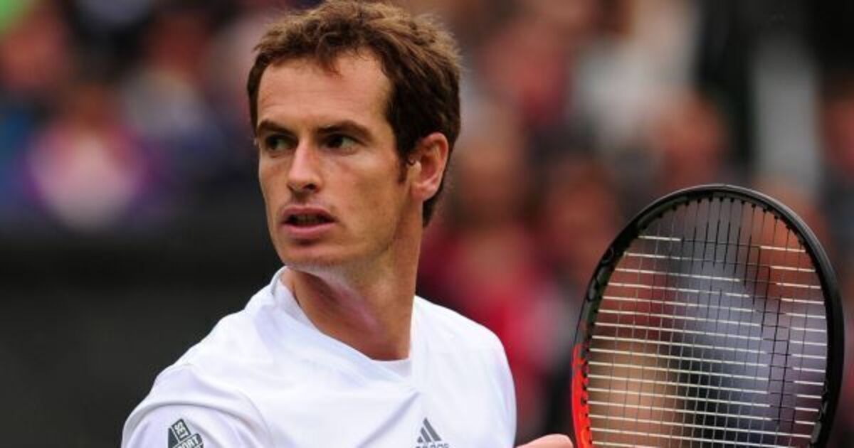 Ferguson and Hodgson to back Murray