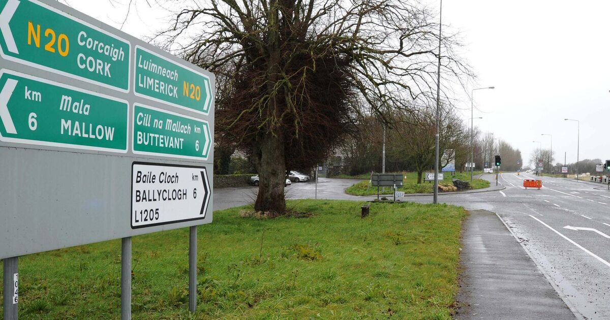 Mallow could attract city buyers if it had the houses