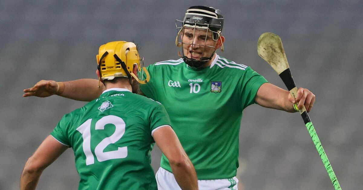 TJ Ryan: Limerick are basically a combination of all hurling's changes ...