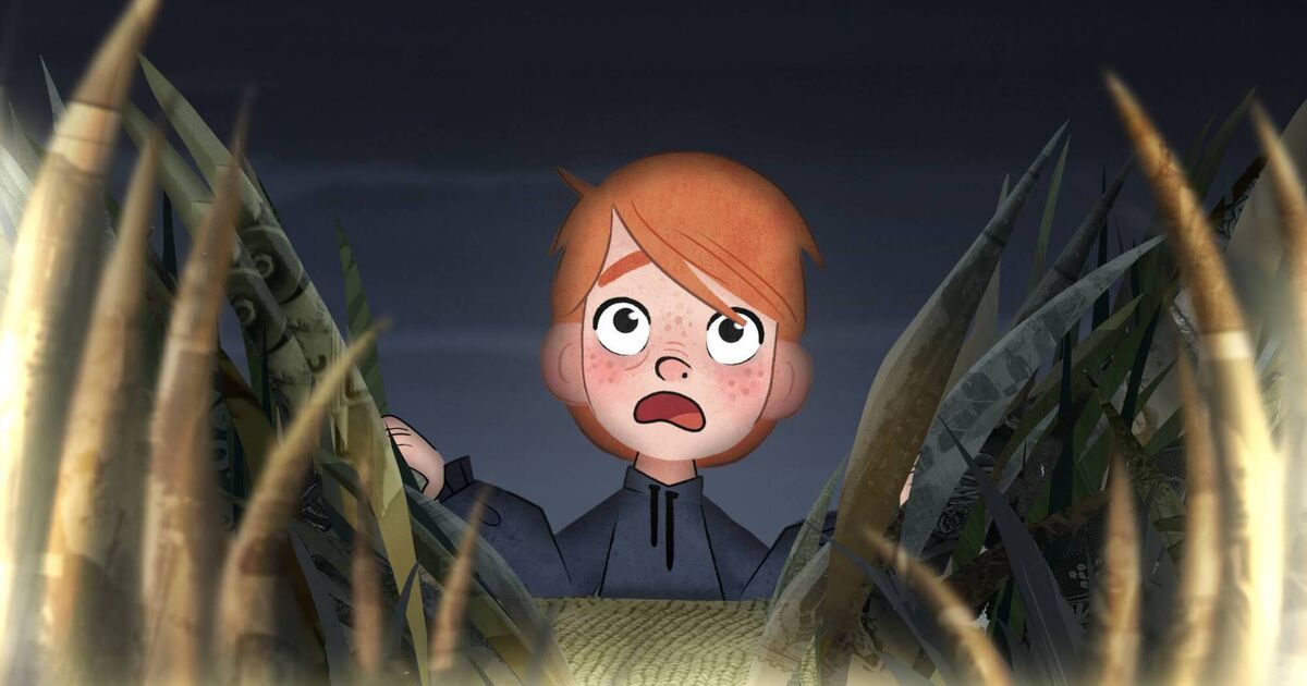 Animated TG4 film 'Sol' to help children processing grief and change at ...