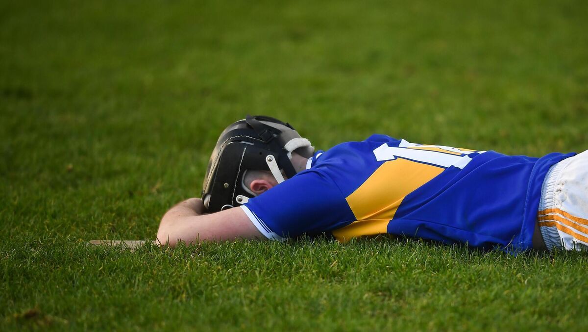 Limerick celebrations continue as minors claim Munster glory