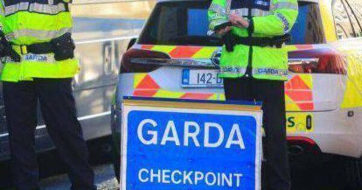 Calls for Garda Commissioner and Government to conduct Brexit audit of ...