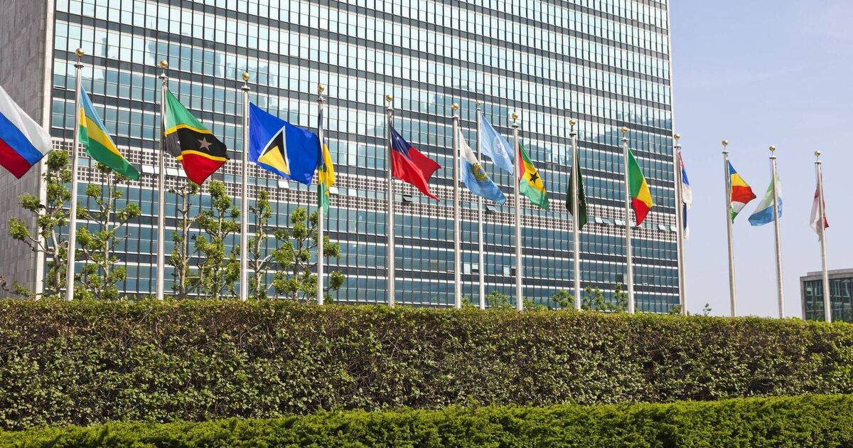 Ireland takes its seat on UN Security Council as global tensions mount