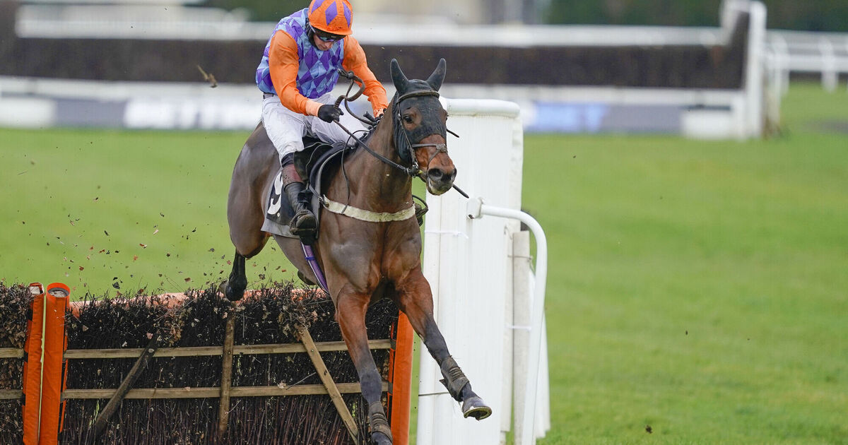 Plumpton: Poignant winners as Zoe Davison loses cancer battle