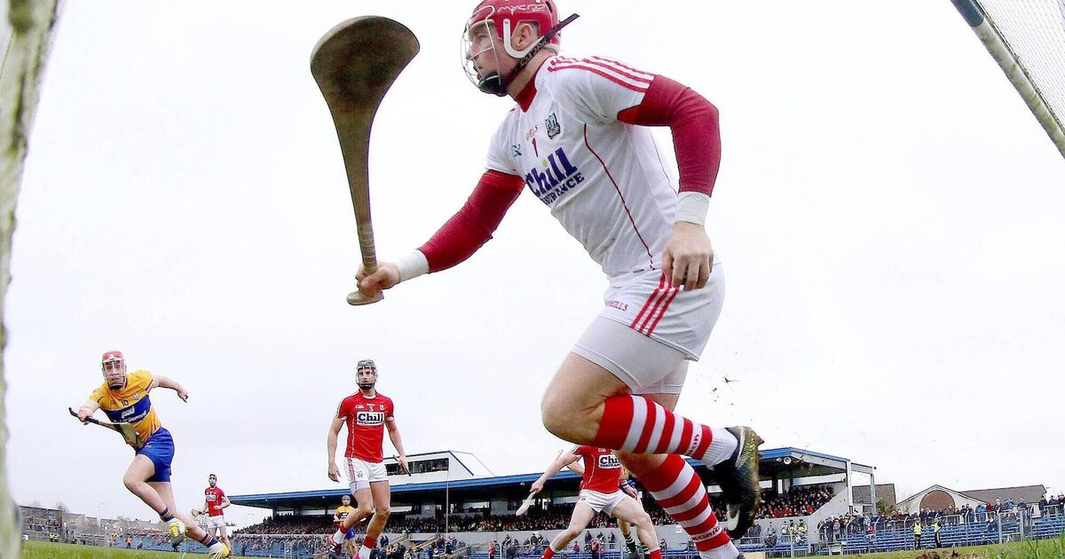 Anthony Nash: 'We didn’t win an All-Ireland with Cork and people might ...