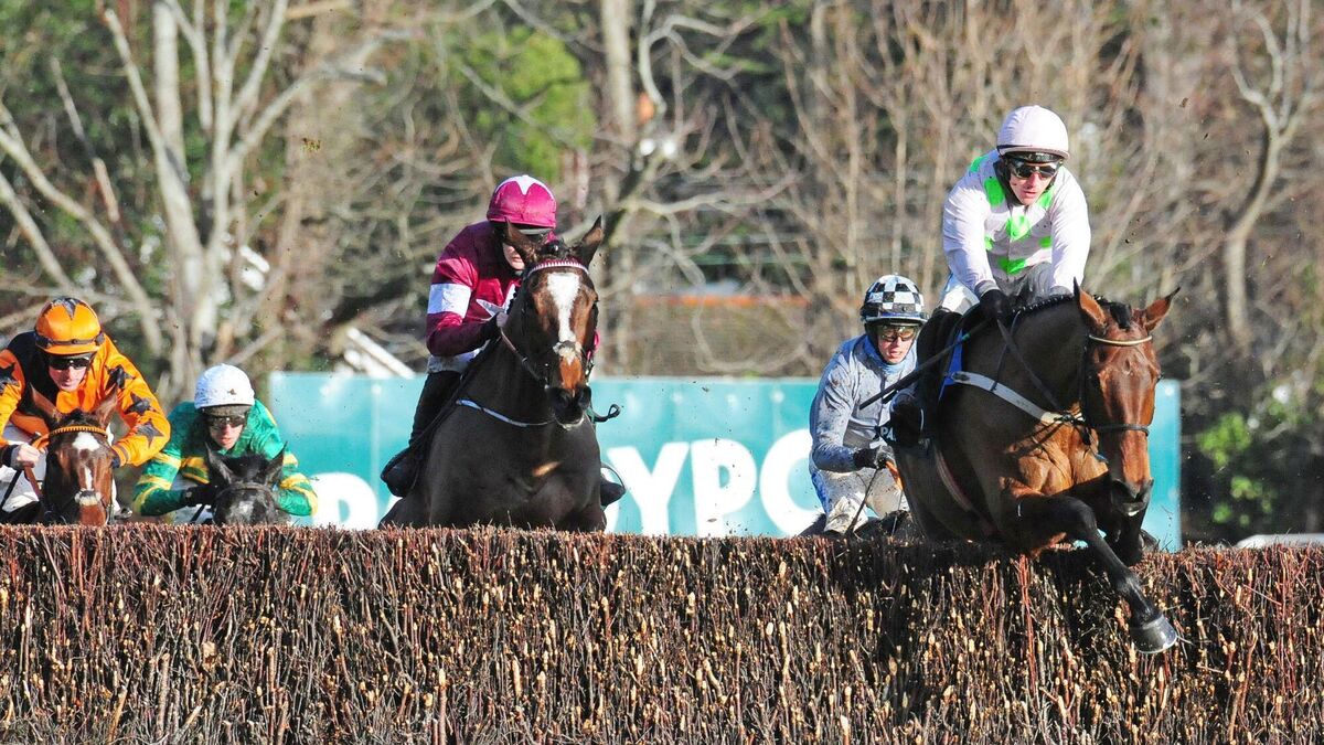 Four ways to improve the Irish horse racing experience in 2021