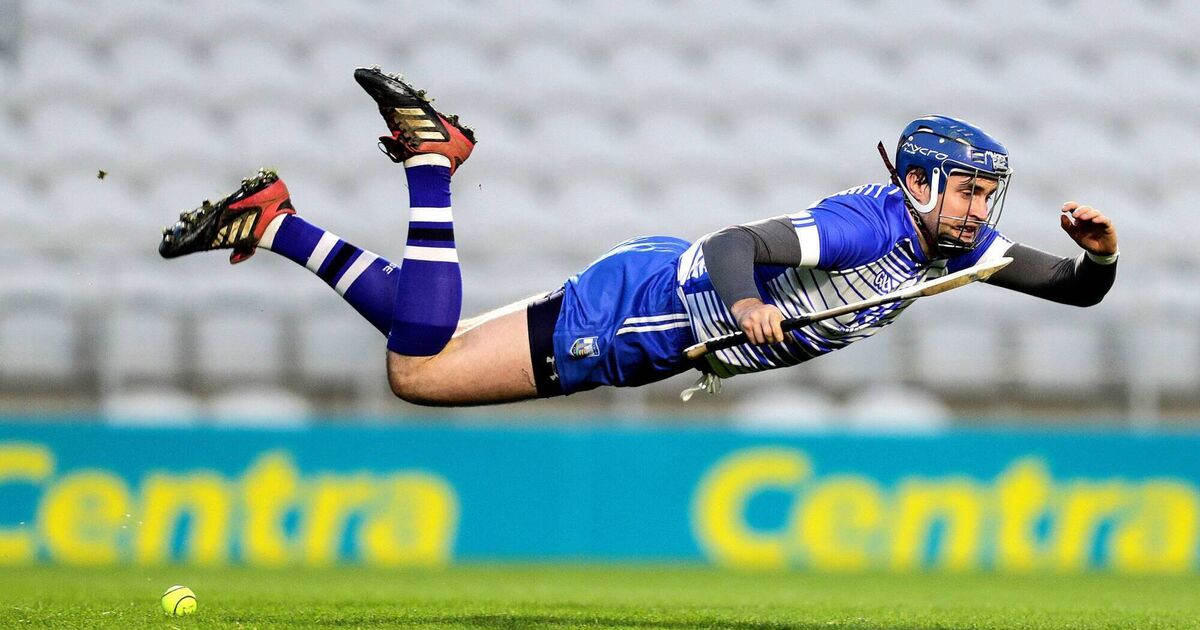 Absolute confidence, strategies, and signals: The evolution of the ...