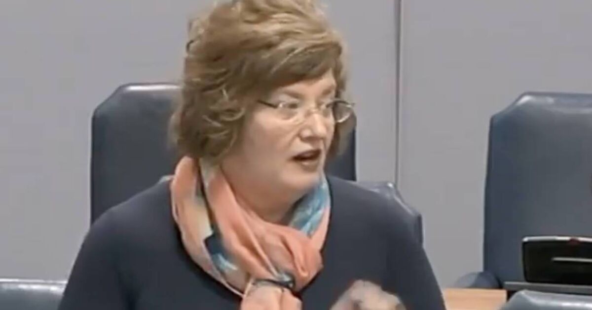 Maria Byrne chosen to fill Michael D’Arcy's vacated Seanad seat