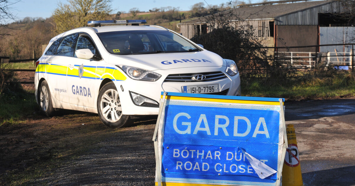 Gardaí recover near-complete skeleton in Midleton bones investigation