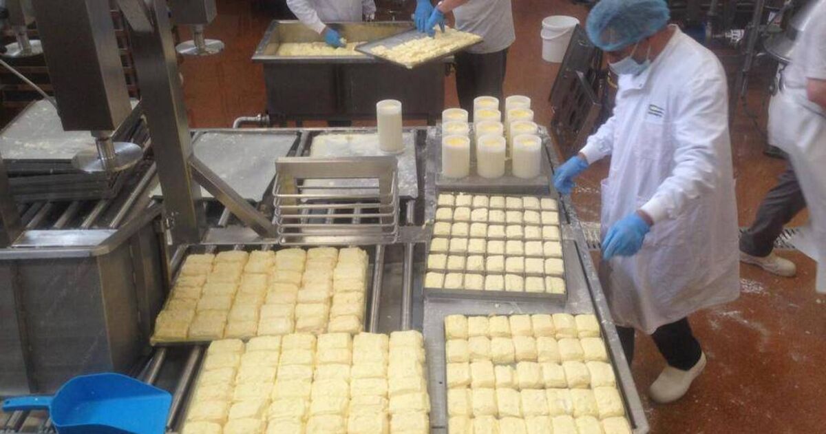 Where halloumi cheese gets Proper treatment