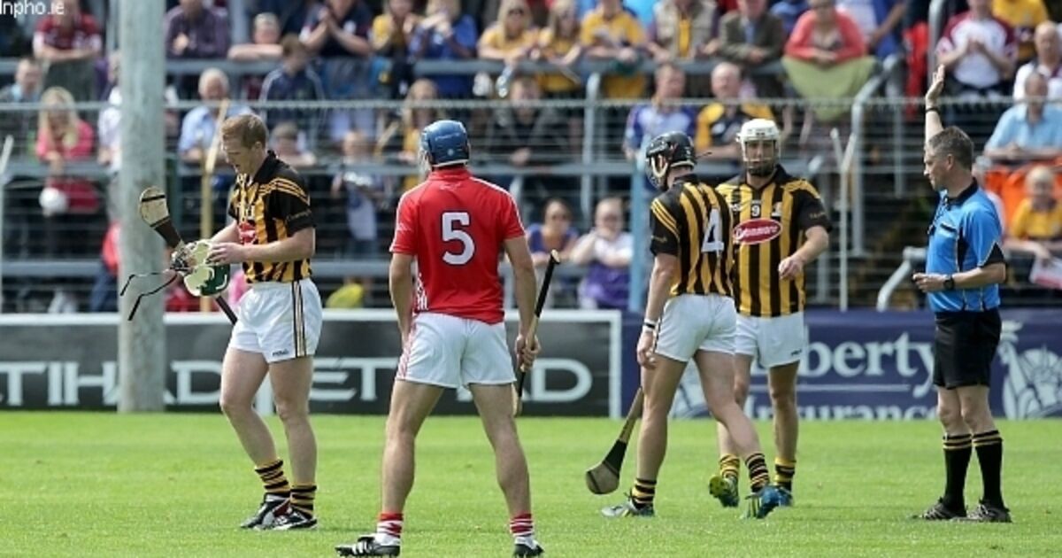 Cats bow out of Hurling Championship after defeat to Cork