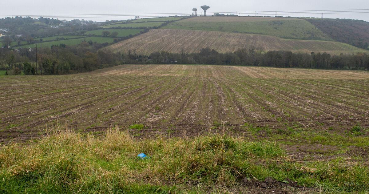 Cork solar farm projects to kick off as shipments land