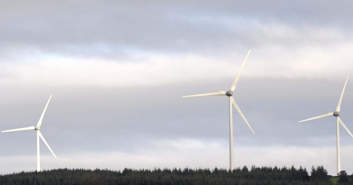 Plans for major wind farm in North Cork meet strong opposition