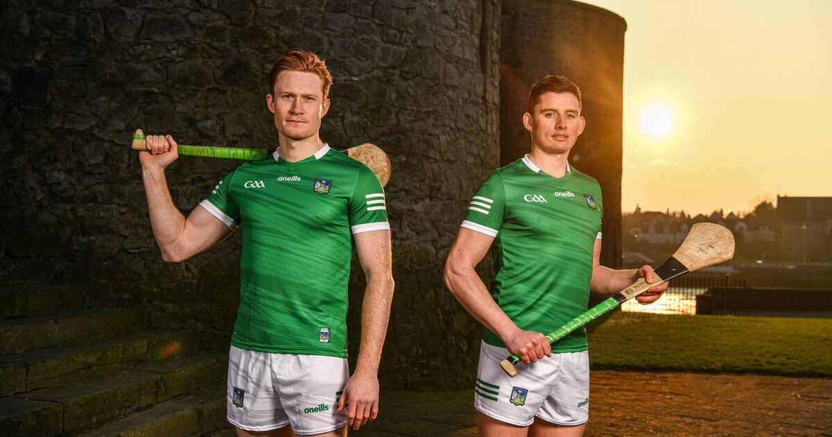 New Limerick hurling jersey pays tribute to every club in the county