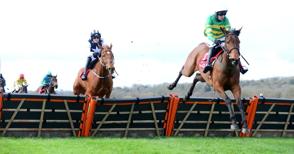 Cork report: Enda Bolger impressed with Dream’s debut