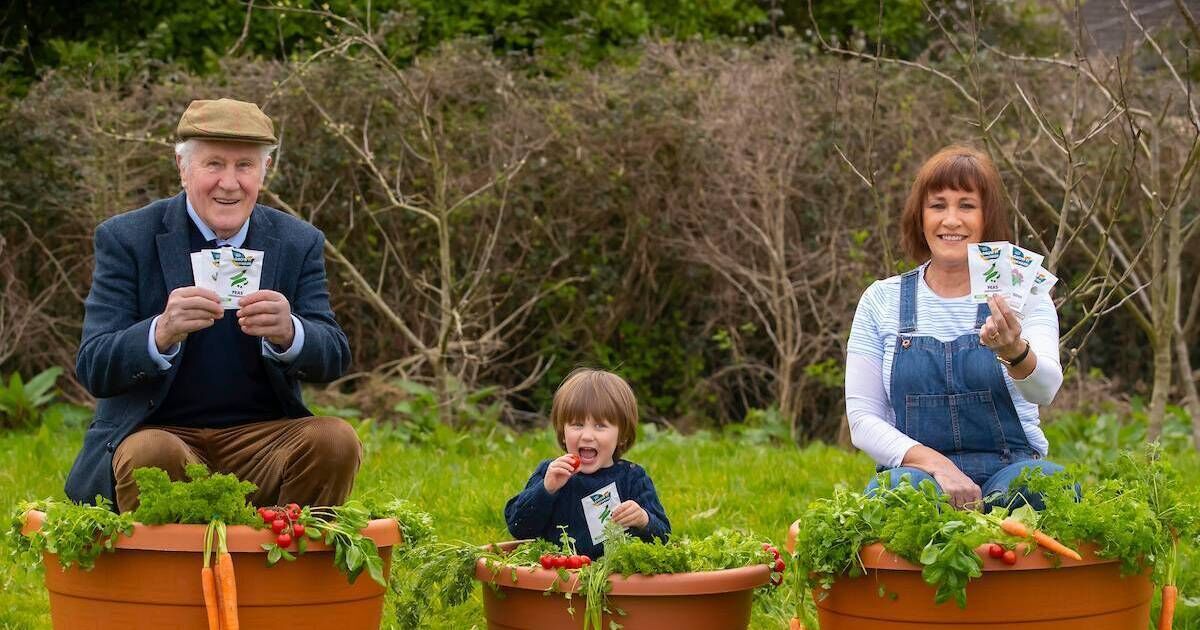 'Grow it forward' initiative hopes to reach half a million people