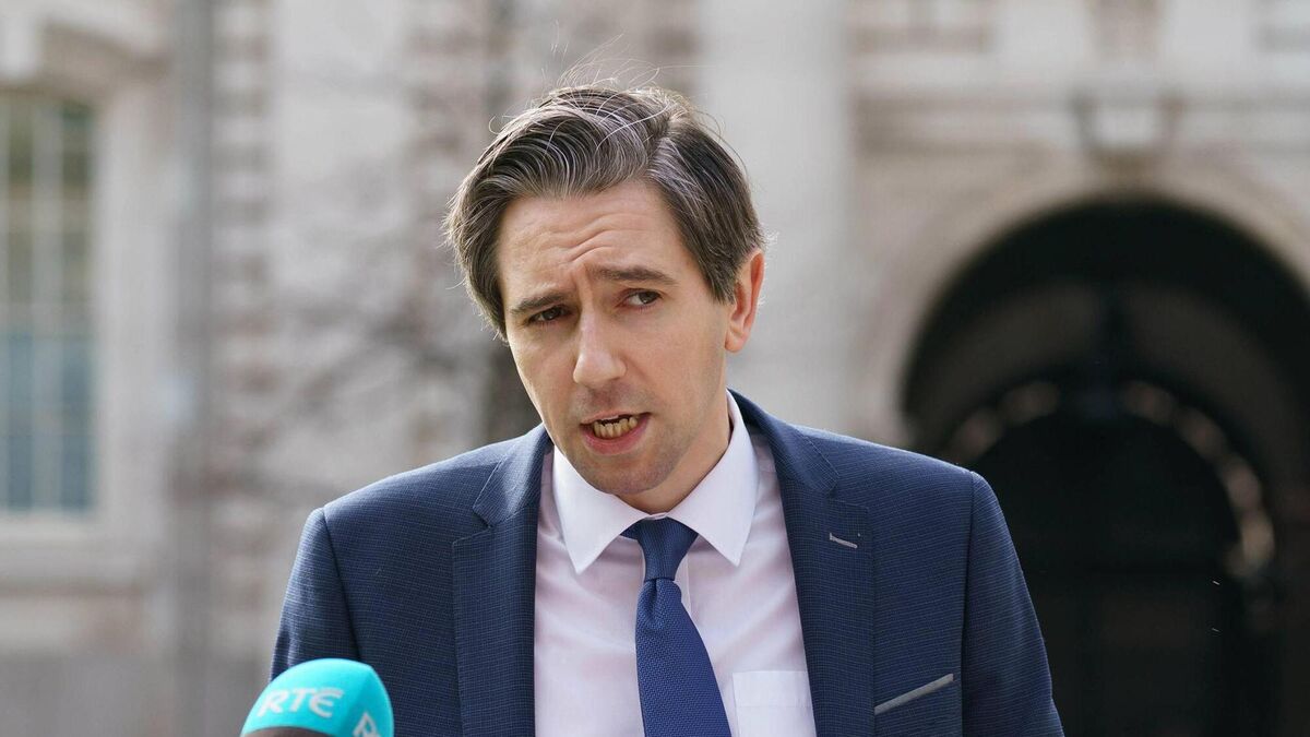Irish-based CEOs raise fresh concerns over skills shortages