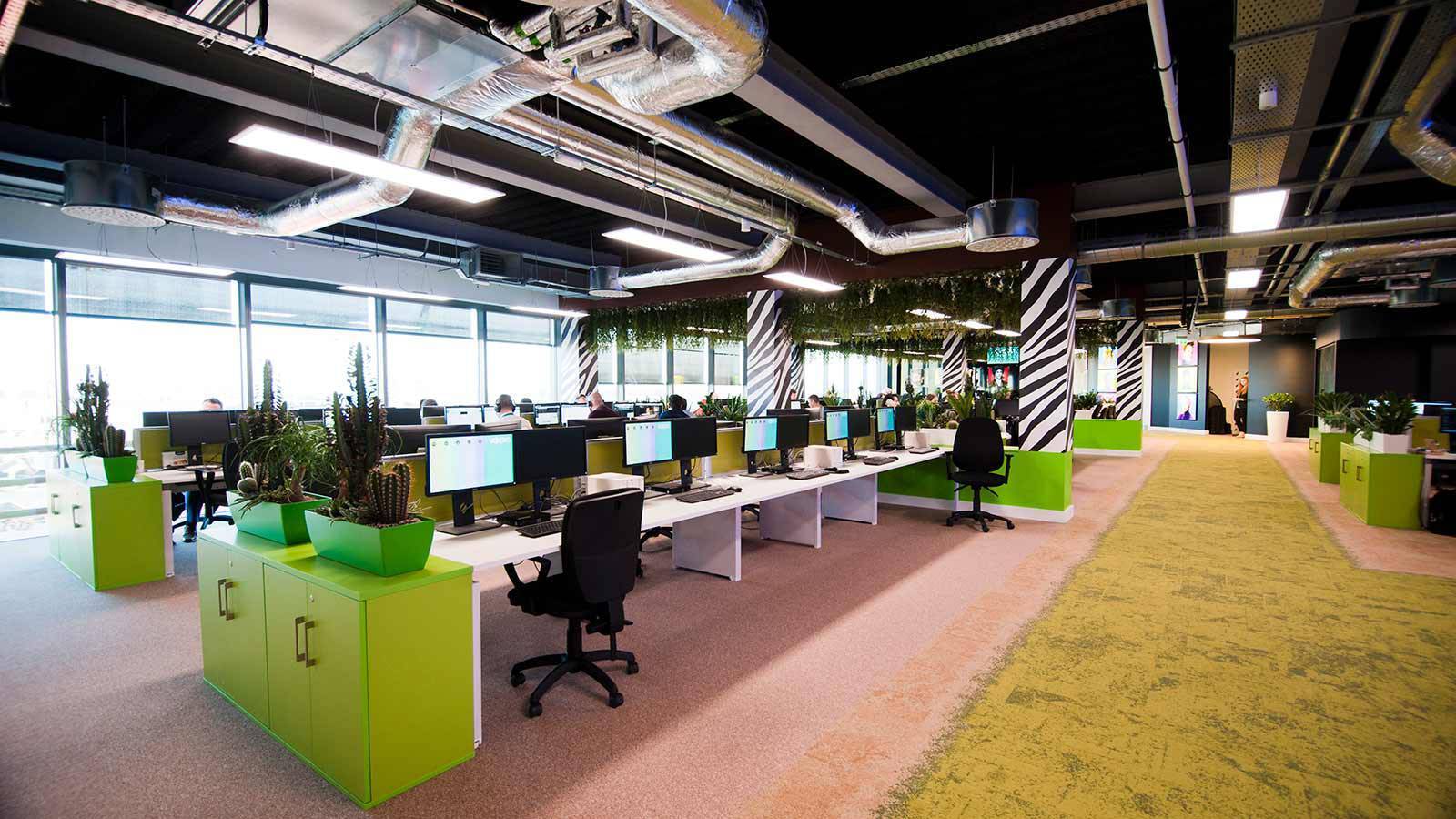 Outsourcing of Telus jobs from Cork to Romania to impact 22 jobs