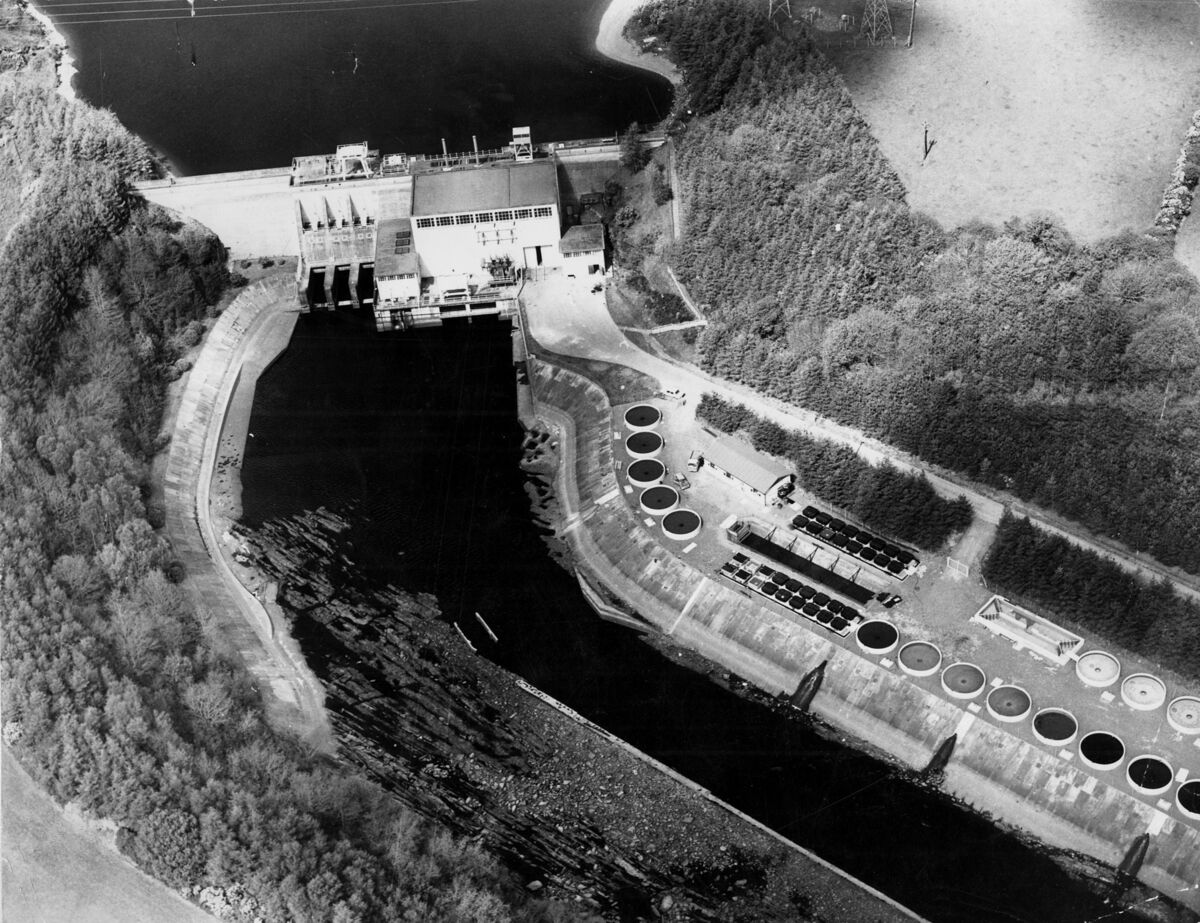 Row up, row up for a shore thing at Lee Valley's Inniscarra