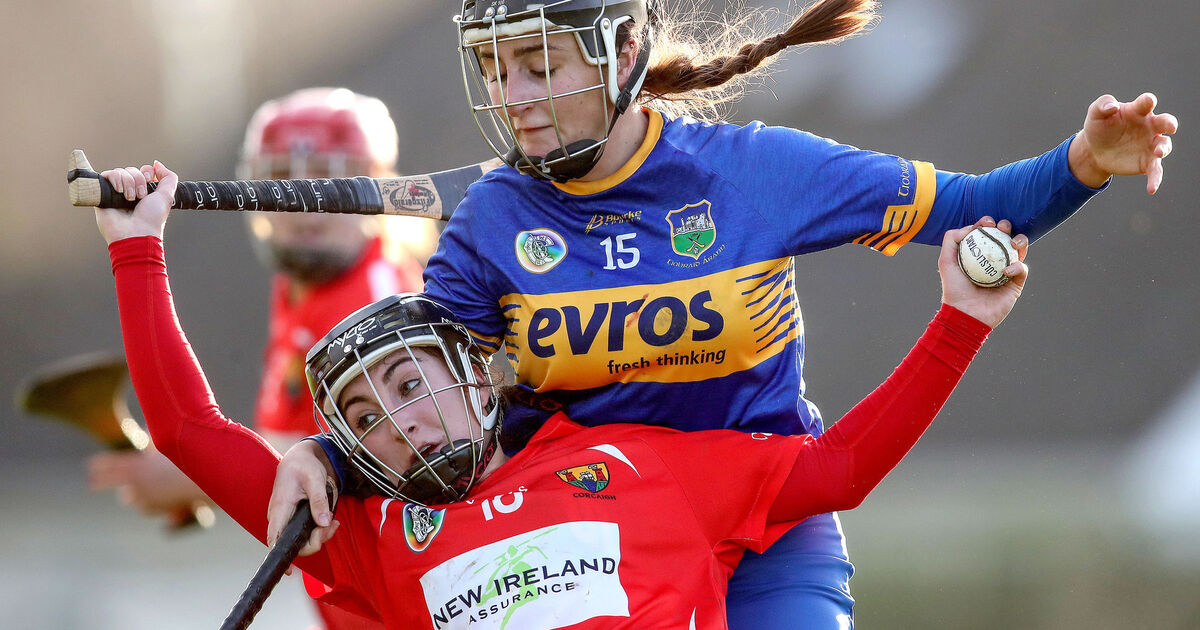Eimear Ryan: Camogie and hurling's differences are being flattened out ...