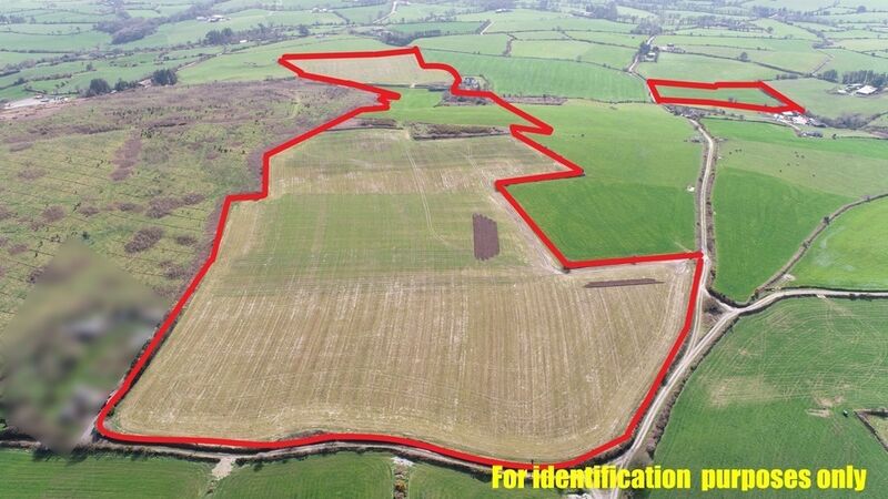 Bids come early on 40 acre farm near theatrical village