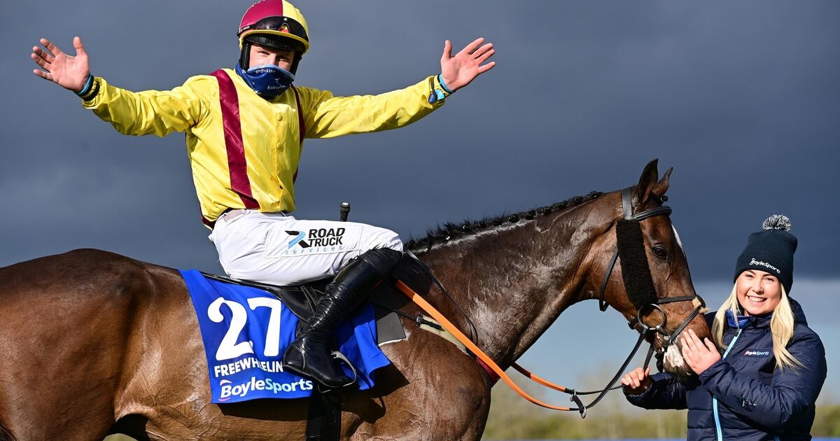 Irish Grand National hero Freewheelin Dylan heading to Punchestown