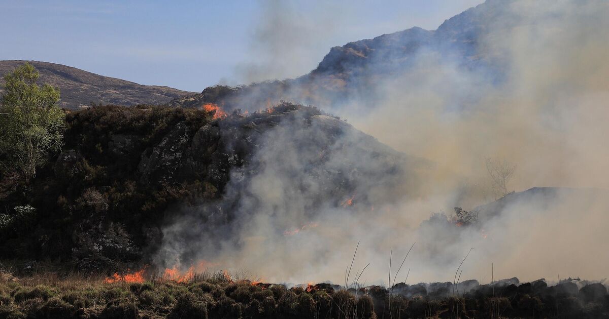 Around one-third of Killarney National Park potentially destroyed by fire