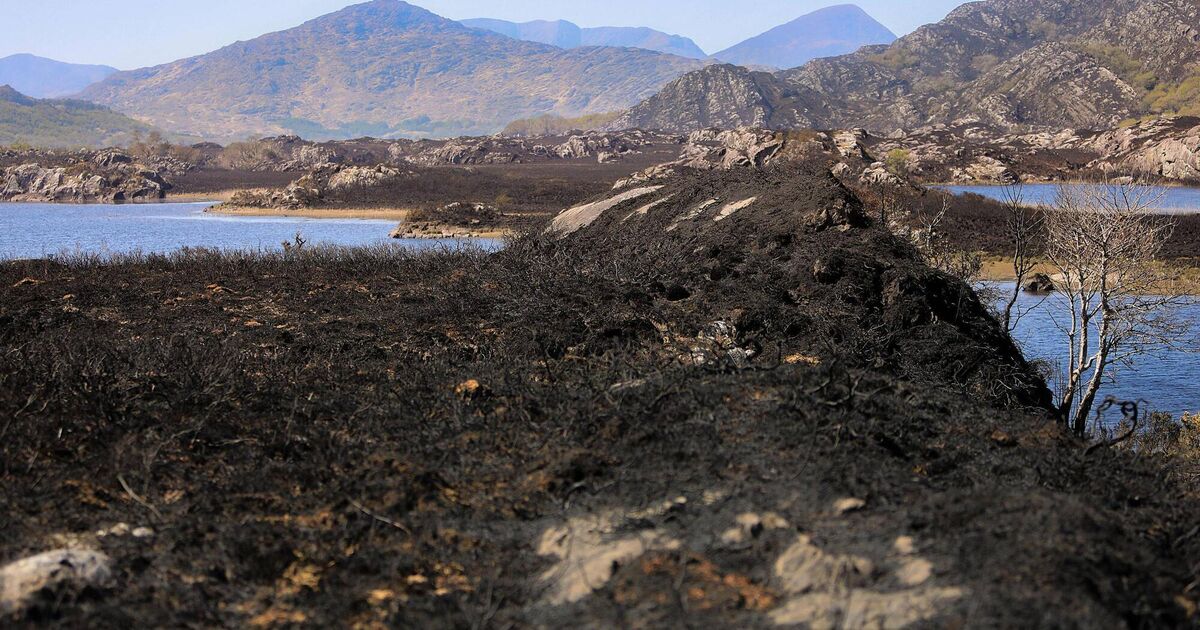 Climate crisis exacerbating fires such as Killarney blaze