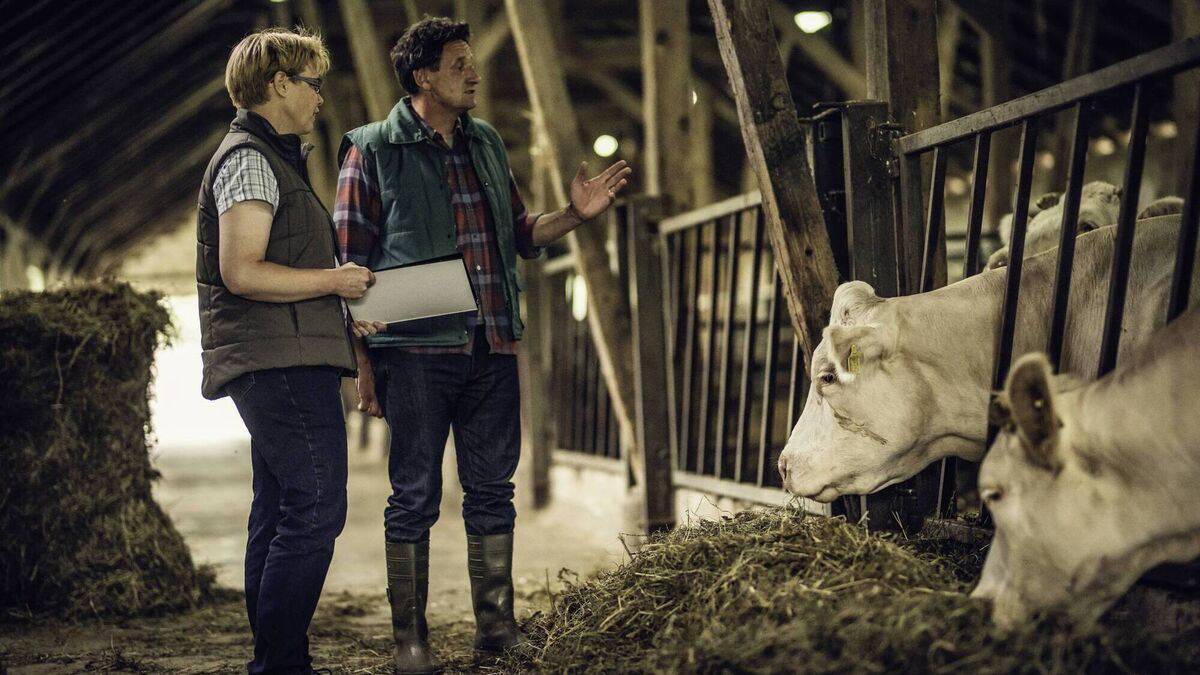 Bord Bia set to return to on-farm audits