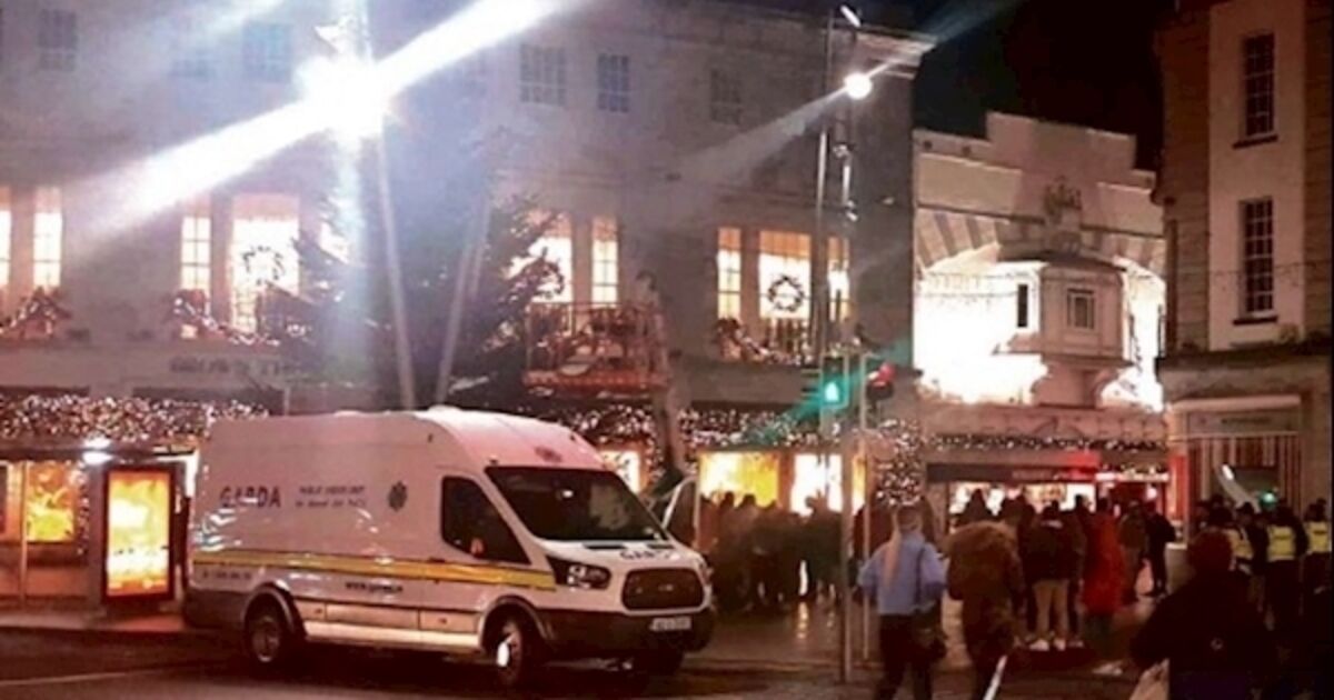 Calls for more gardaí in Cork after riot squad deployed over public ...