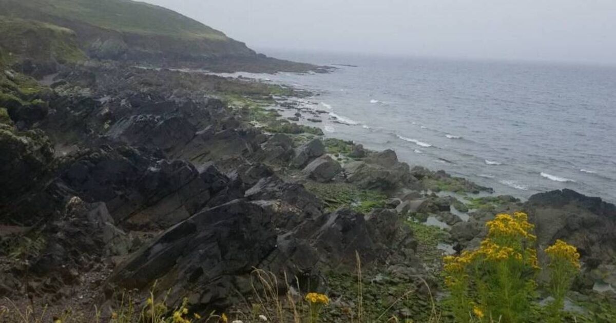 Calls to reopen popular Ballycotton cliff walk