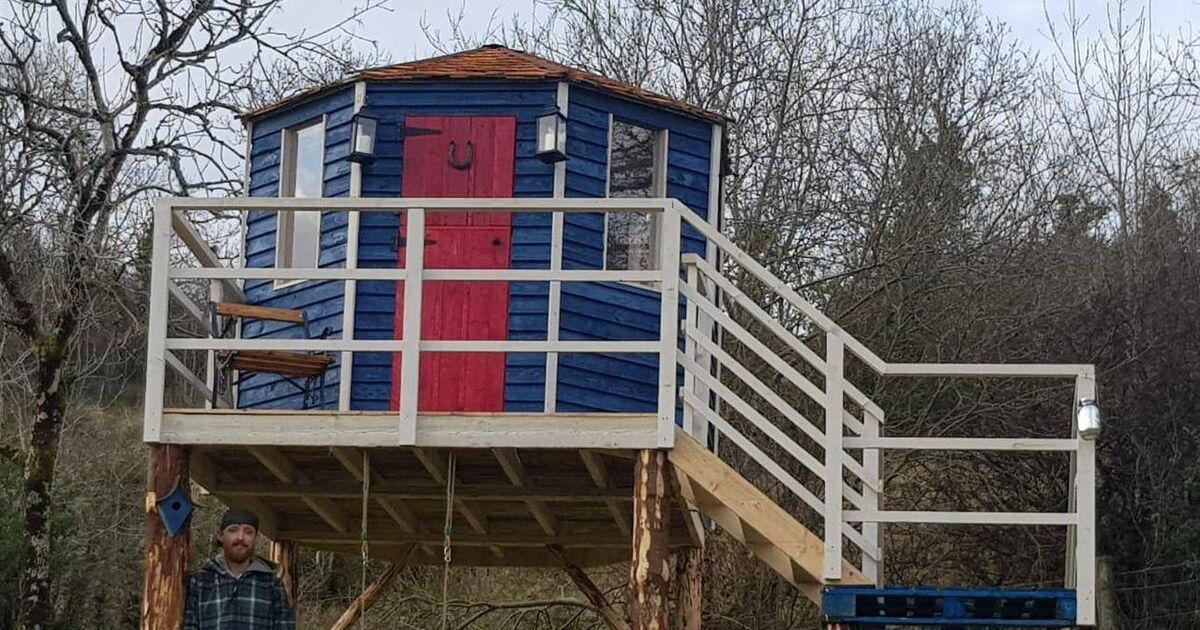 Thursday TV Tips: A treehouse on stilts — and how about this chic ...