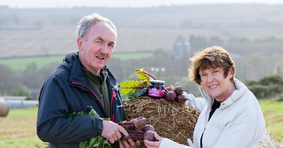Beetroot production a great example of farm to fork journey