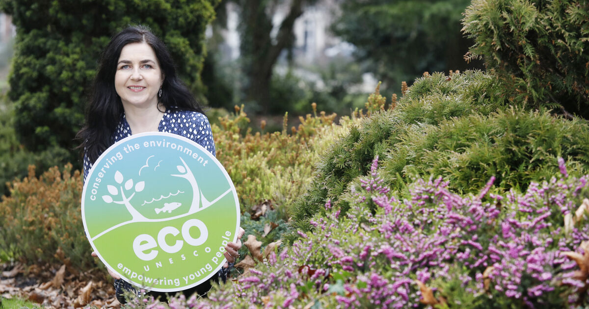 10 things to do to help children be more eco-friendly