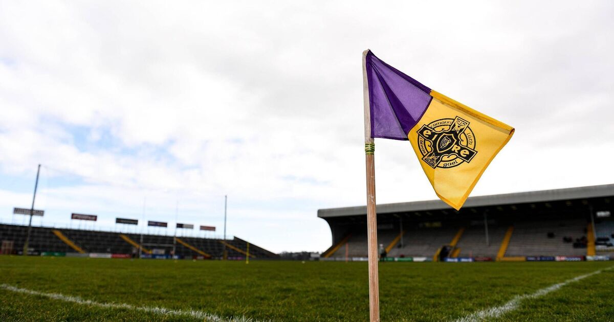 Gavin O’Donovan appointed as Wexford GAA CEO