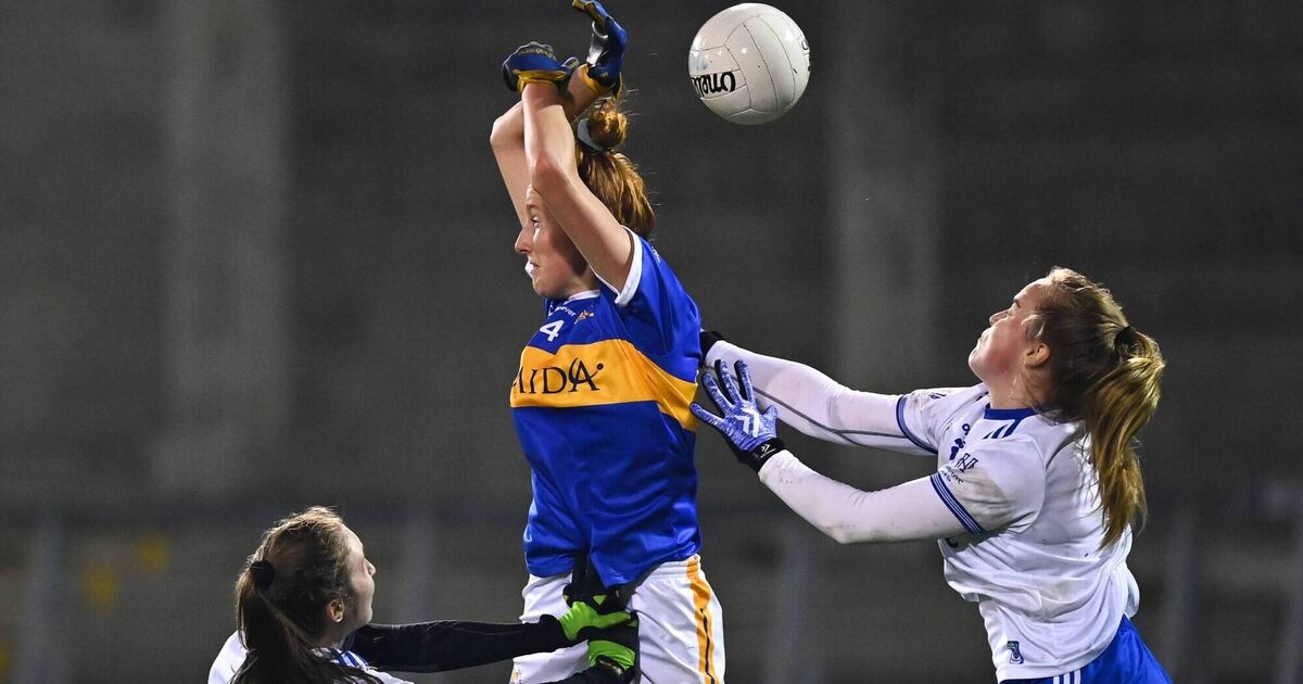 Declan Carr: Ladies football ‘on cusp of an explosion’ in popularity
