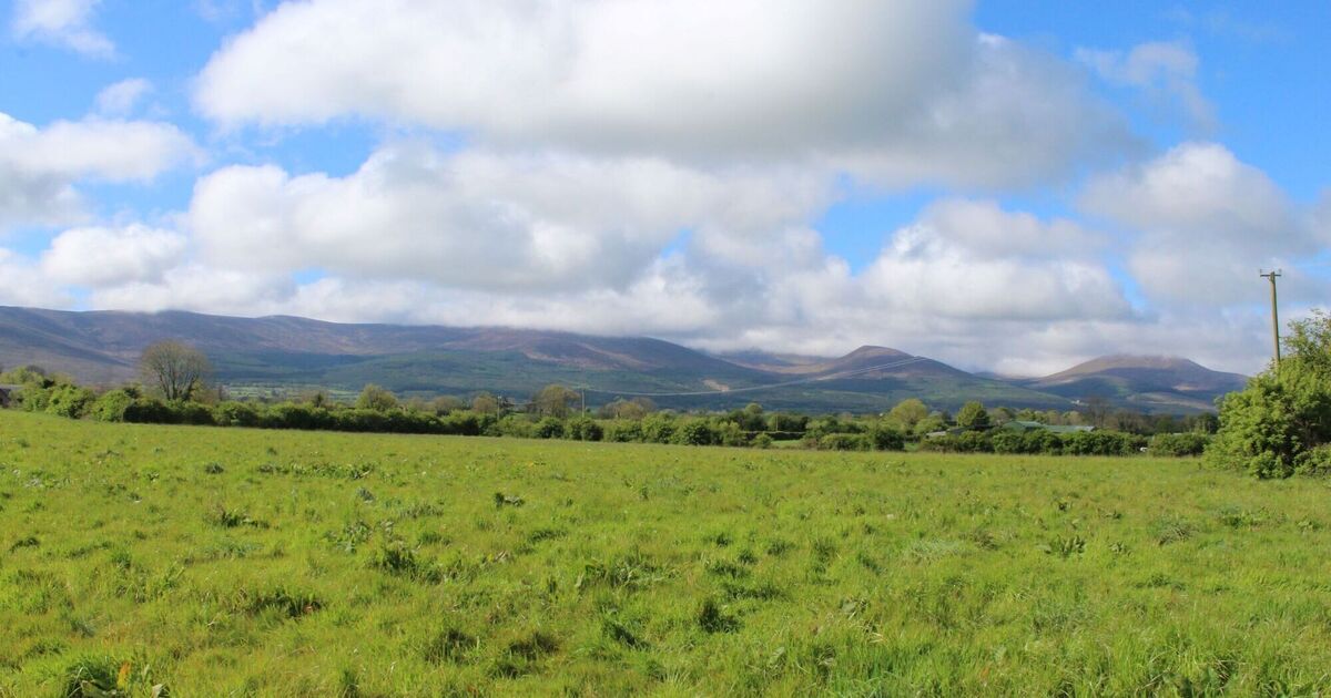 'Top class' 20 acre Golden Vale parcel arrives onto the market in Tipperary
