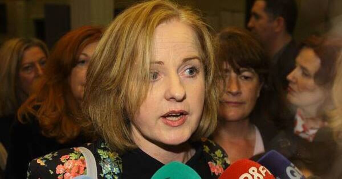 Coppinger in lead after third count in Dublin West